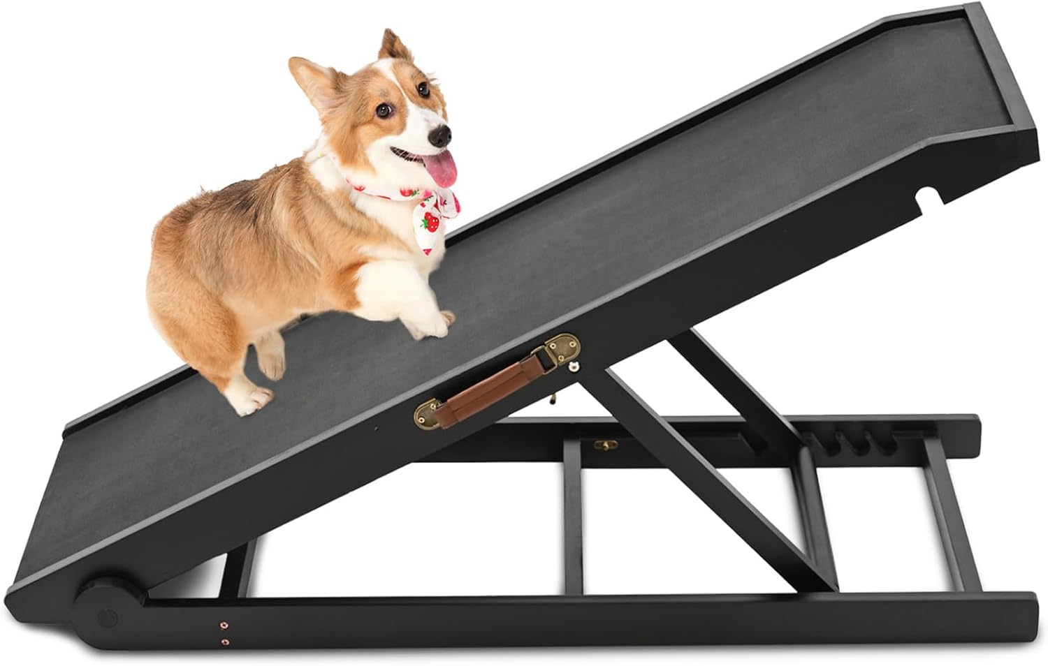 Amazon.com : Dog Ramp, Adjustable Height Wooden Folding Pet Ramp for ...