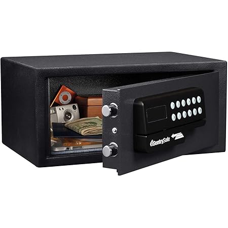 SentrySafe X031 Security Safe with Key Lock, 0.35 Cubic Feet, Black ...