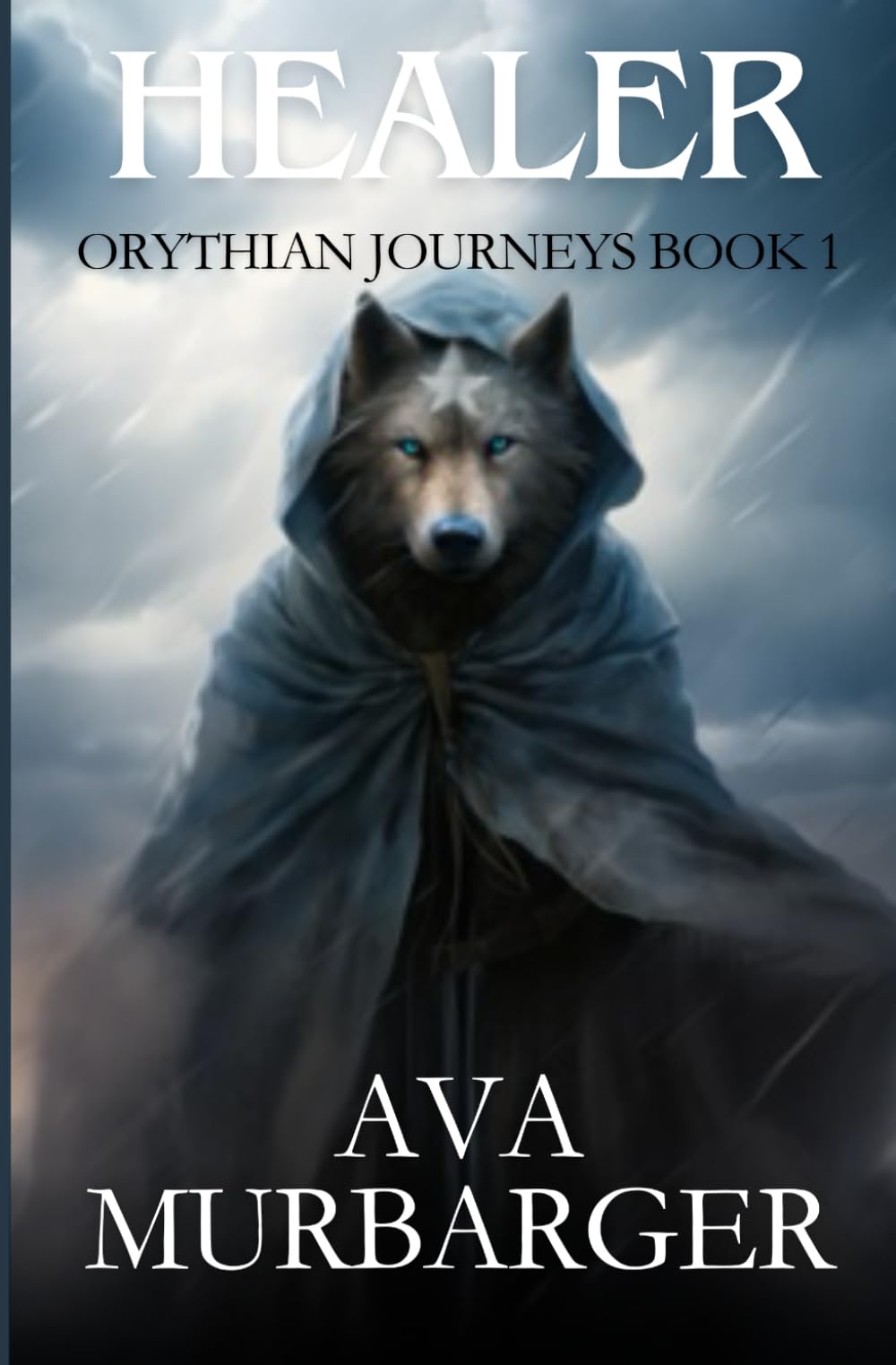 Amazon.com: Healer: 9798327671027: Murbarger, Ava: Books