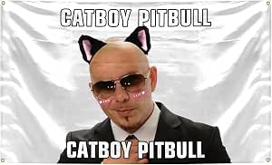 Amazon.com: Funny Catboy Pitbull Tapestry Mr Worldwide Banner 3X5 Feet ...