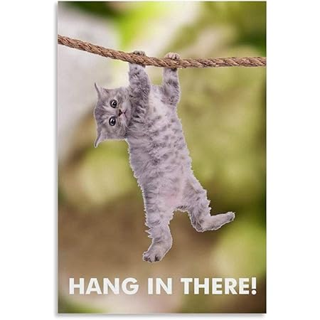 Amazon.com: Hang in There Hanging Cat Poster Kitten Kitty Modern Wall ...