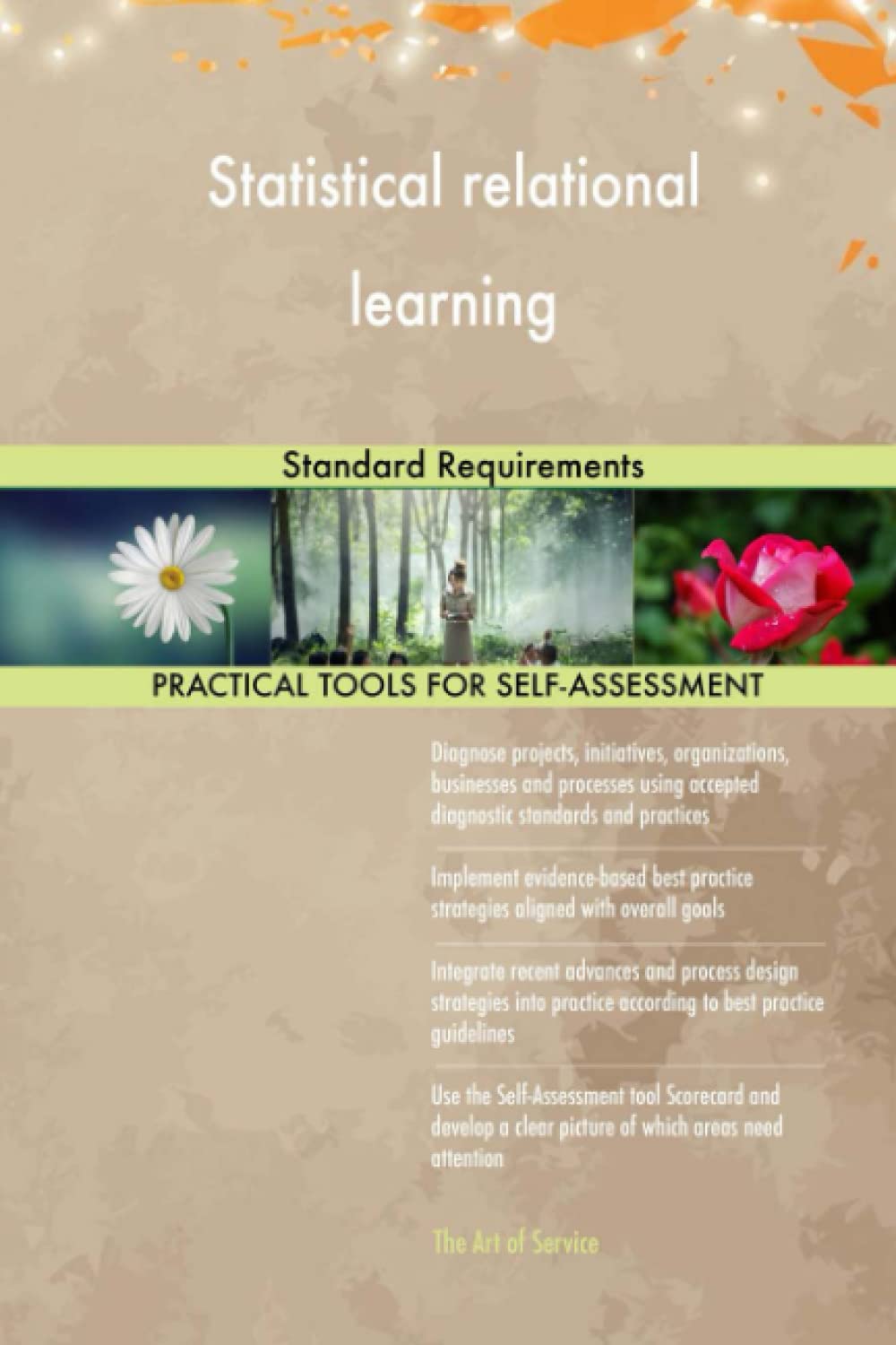 Statistical relational learning Standard Requirements: Gerardus Blokdyk ...