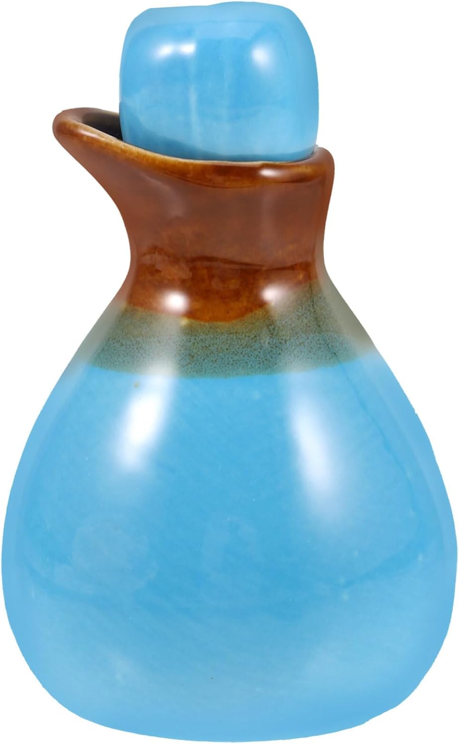 Amazon.com: Japanese Soy Sauce Bottle Soy Sauce Pourer Container with ...