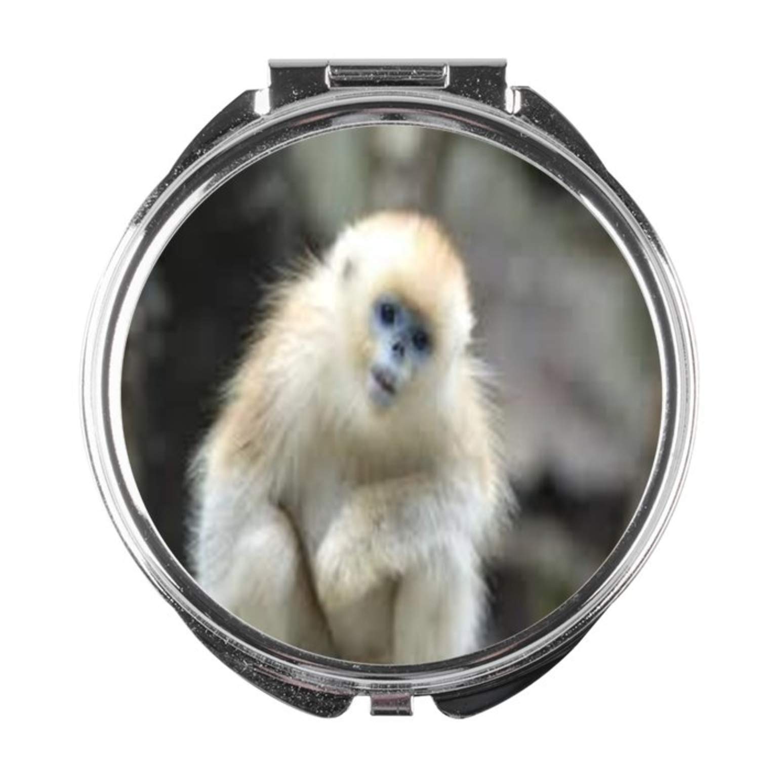 Golden Snub Nosed Monkey Wallpaper