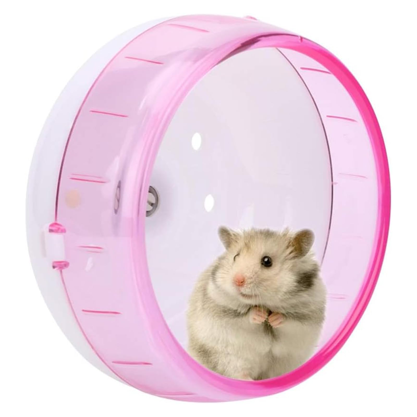 Amazon.com : 4.7 Inch Quiet Hamster Exercise Wheel, Silent Spinner ...