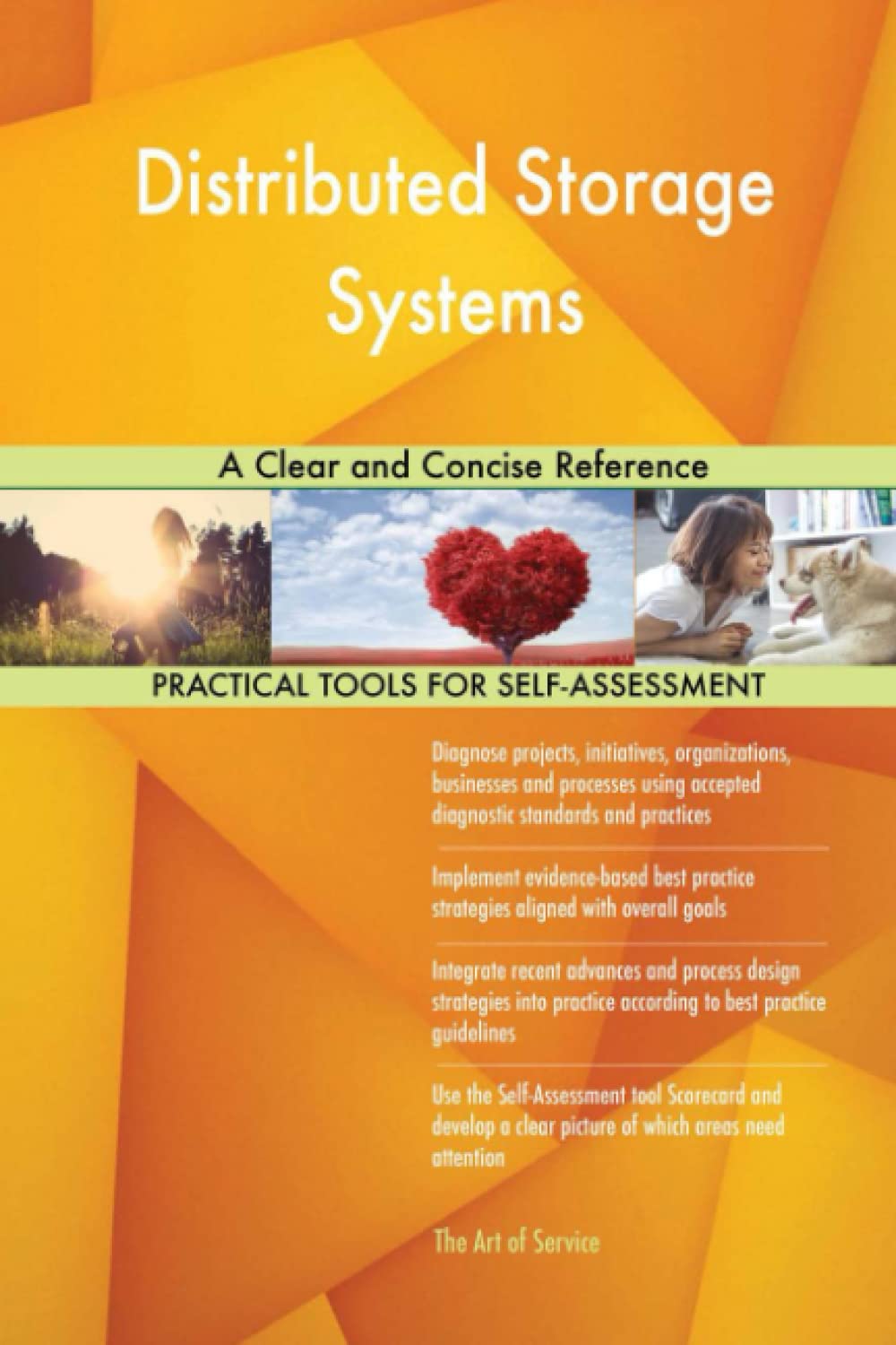 Distributed Storage Systems A Clear and Concise Reference: Gerardus ...