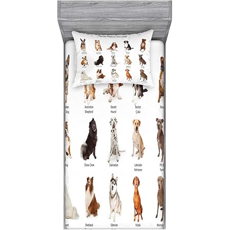 Amazon.com : Kids Rule 3 Piece Twin Sheet Set Dog Sketch Style : Toys ...