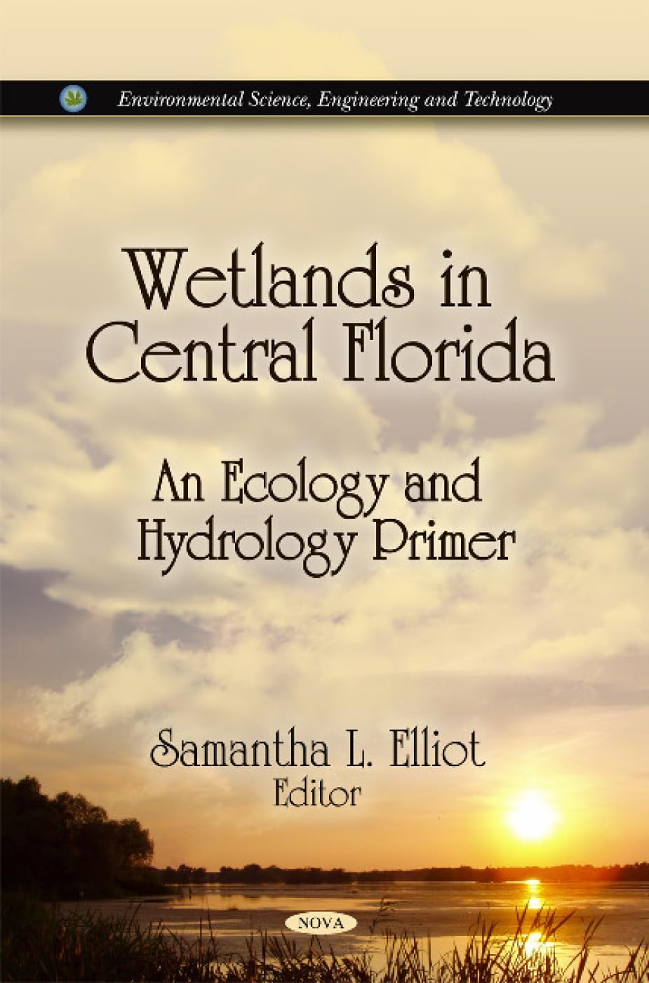Amazon.com: Wetlands in Central Florida: An Ecology and Hydrology ...