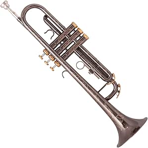 Amazon.com: New Professional Trumpet Black Nickel Gold Plated Yellow ...
