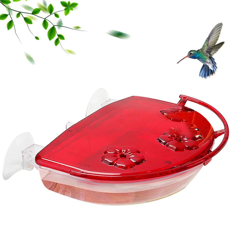 Amazon.com : Outdoor Plastic Window Hummingbird Feeder with Powerful ...