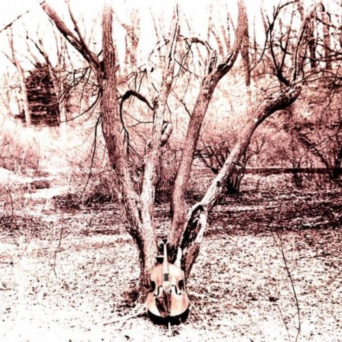 Amazon.com: Alpine : Garth Stevenson: Digital Music