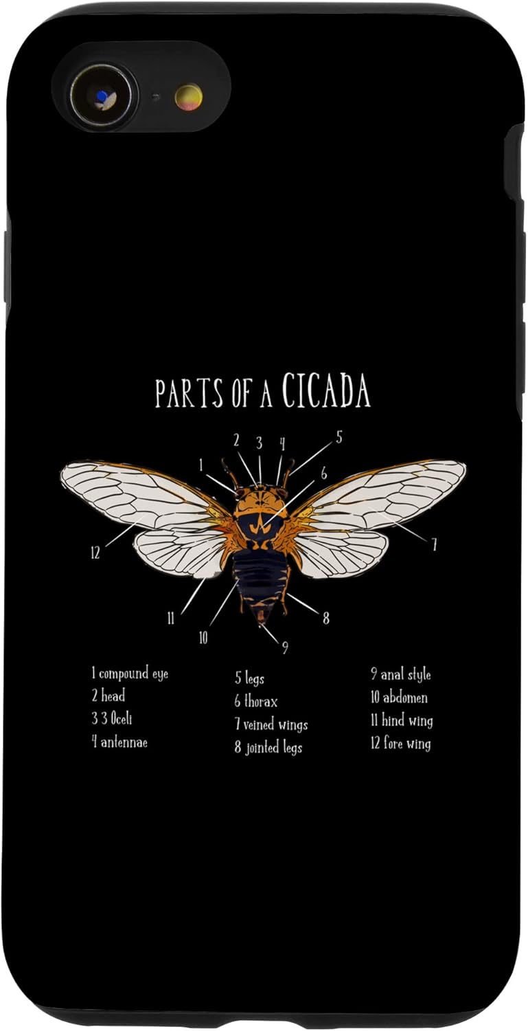 Amazon.com: iPhone SE (2020) / 7 / 8 Parts of Cicada Insect Bug ...