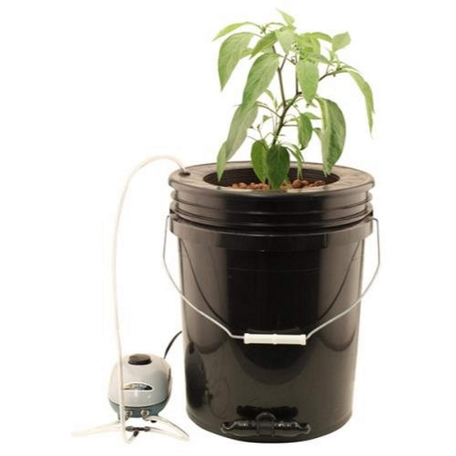 Amazon.com : Flo-n-Gro Bubbler Bucket, Black - 5 Gallon : Patio, Lawn ...