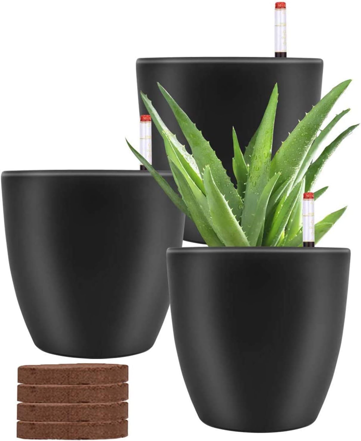 Amazon.com: Greenhouse Decorations - Ceramic Self-Watering Pots for ...