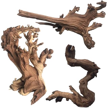 Amazon.com : Tfwadmx 5PCS Aquarium Driftwood Branches Reptiles Trunk ...
