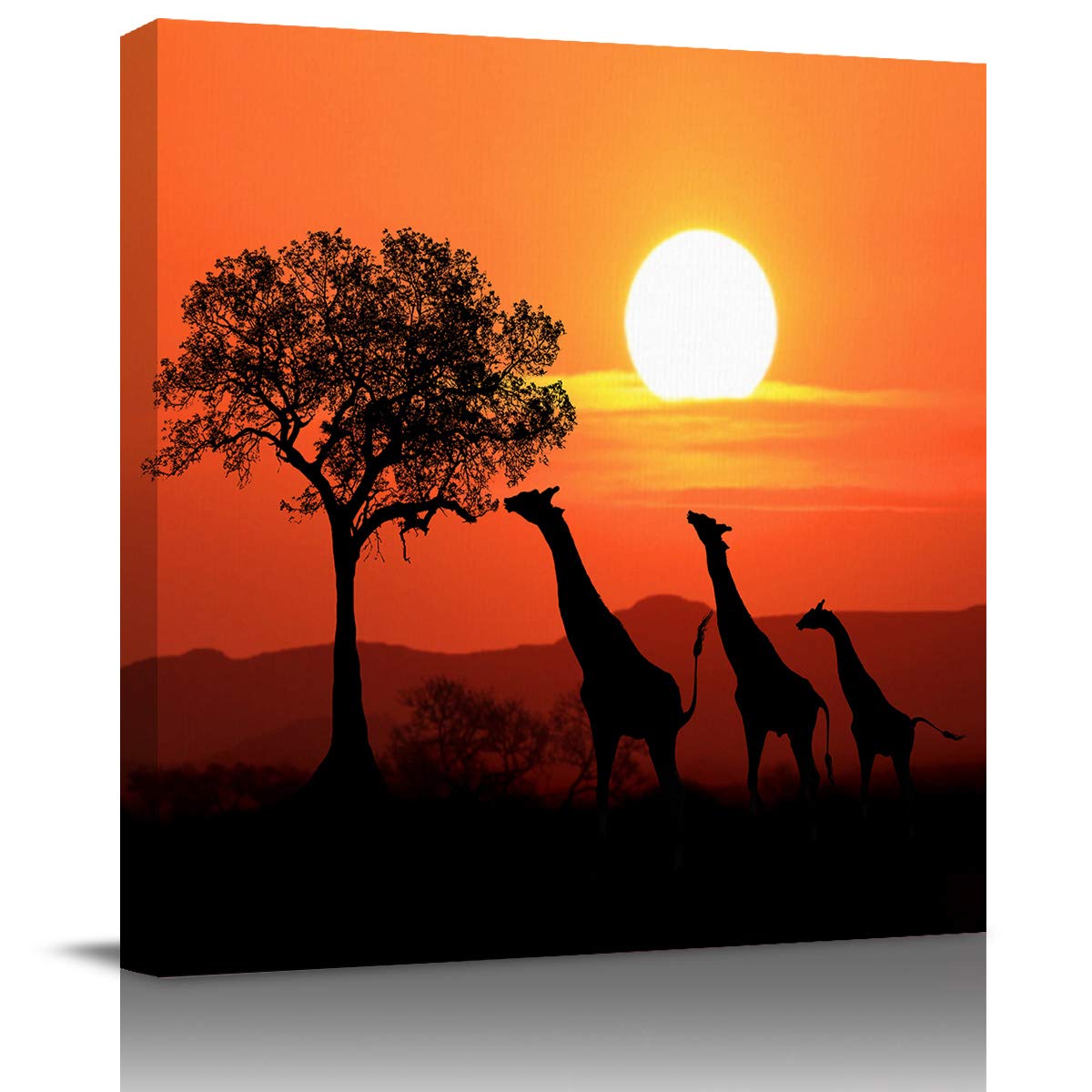 African Wildlife Sunset