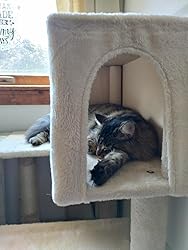 Amazon.com : Meow Sir Large Cat Tree for Large Cats 70 Inches Tall Cat Tower with Large Hammock ...