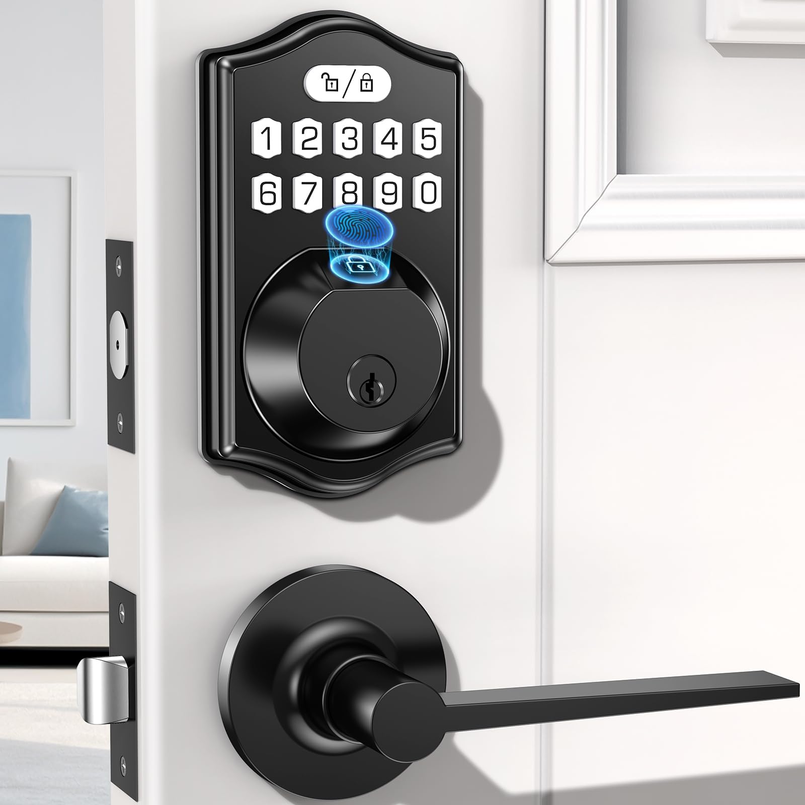 WiFi Smart Door Lock Set: Hornbill Silver Keyless Entry Door Lock ...