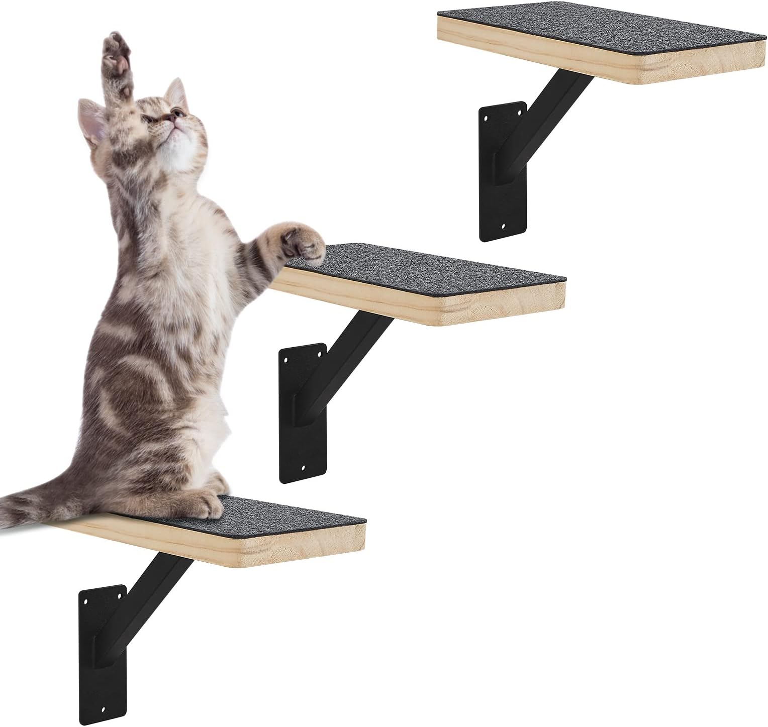 Amazon.com : Sandpeak 2-Pack Cat Wall Steps - Wooden Cat Shelves for ...