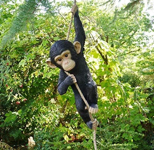 Amazon.com: THE ENCHANTED GARDEN Hanging Monkey on Rope Statue Outdoor ...