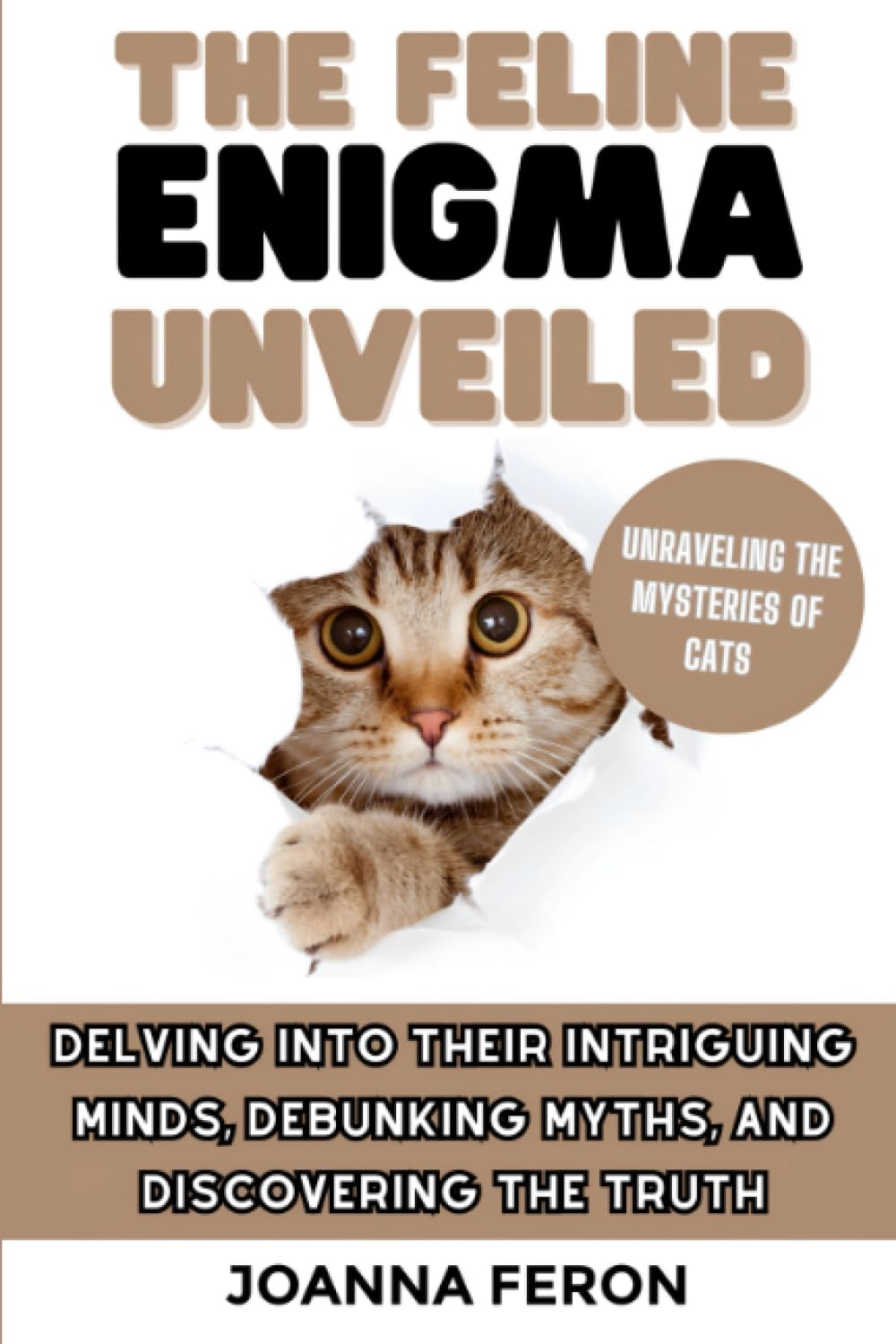O Enigma Katzen Dark Entries Records | Dispatches From Solitude Is The