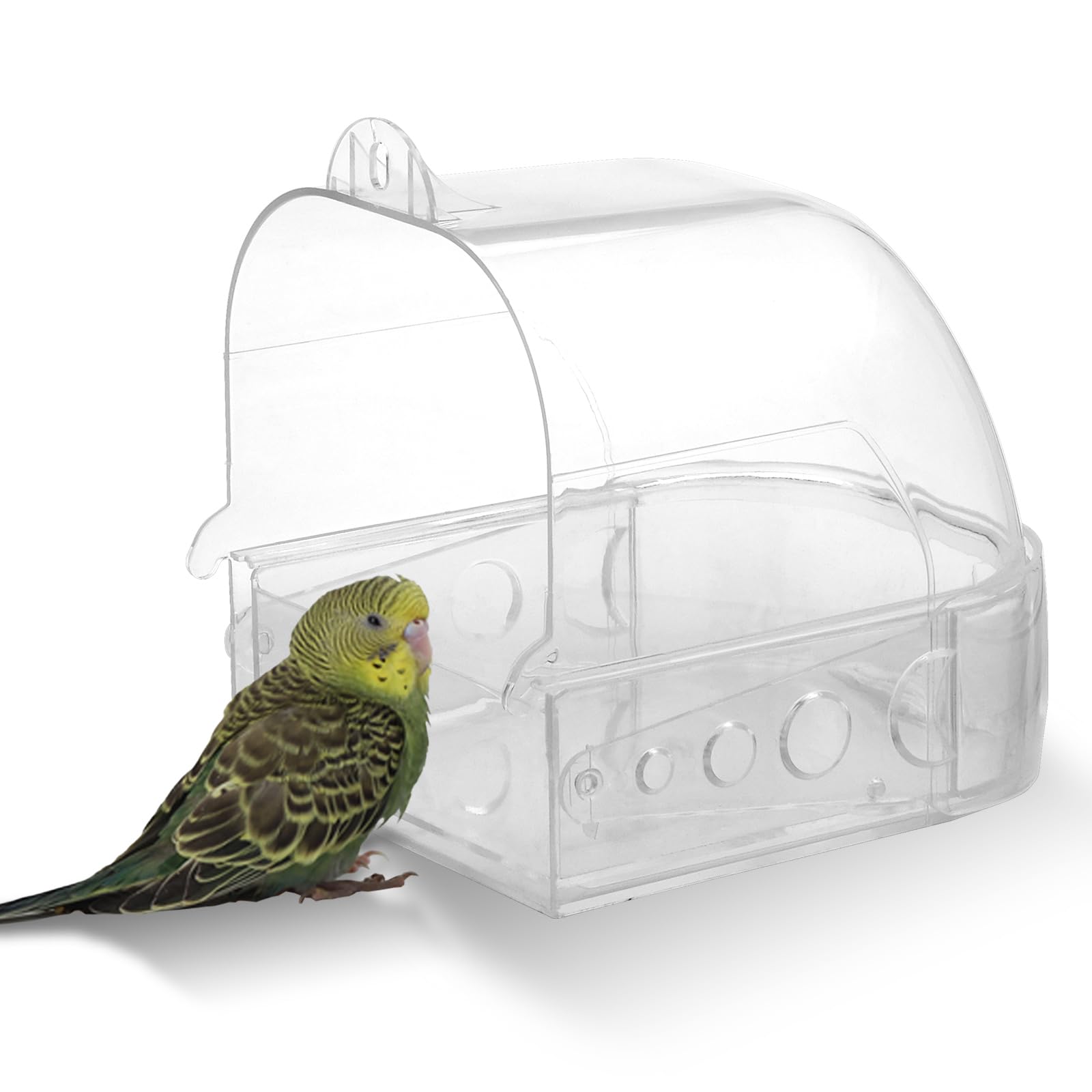 Amazon.com : IBWell Parakeet Bird Bath for Cage Cockatiel Bird Bath ...