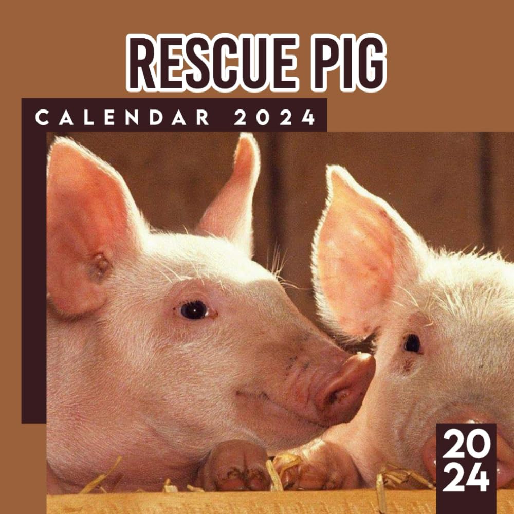 Amazon | Rescue Pig Calendar 2024-2025: Animals Calendar 2024 From ...