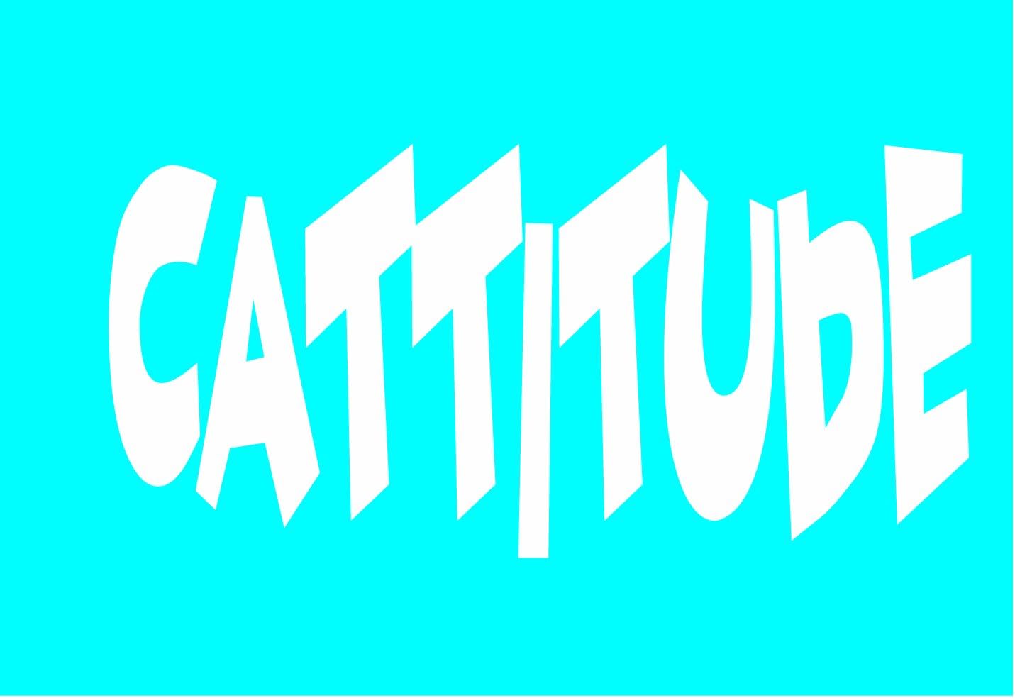 Amazon.com : Imagine This Car Window Decal, Cattitude : Automotive ...