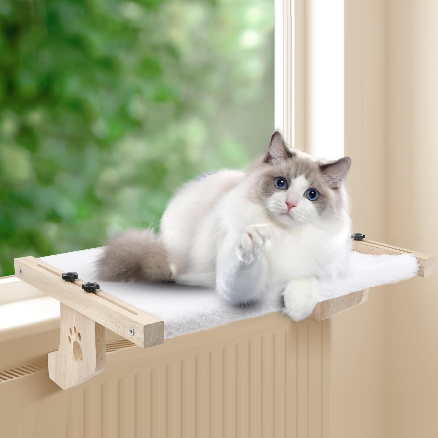 Amazon.com : HEMWEE Cat Window Perch, Cat Window Hammock for Indoor ...