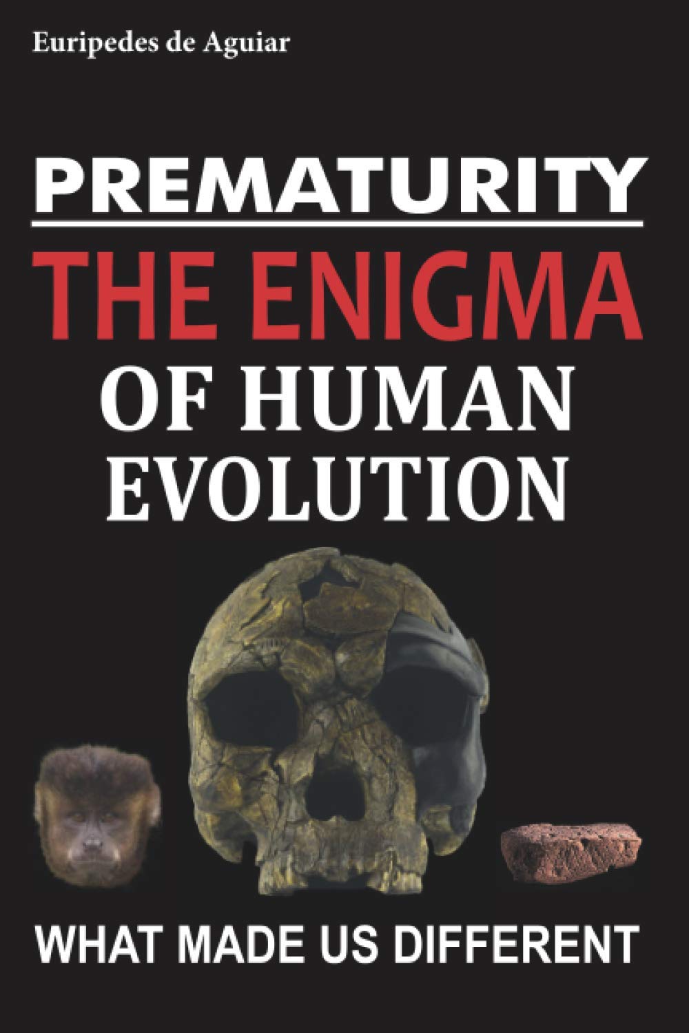 Prematurity: the enigma of human evolution: de Aguiar, Euripedes ...