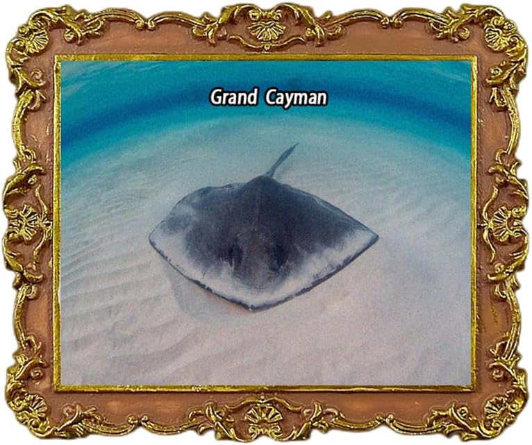 Amazon.com: Grand Cayman Cayman Islands UK Refrigerator Magnet 3D ...