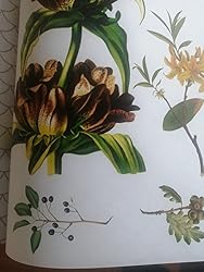 The Cut Out And Collage Book Vintage Botanical Plants: 150 High Quality ...