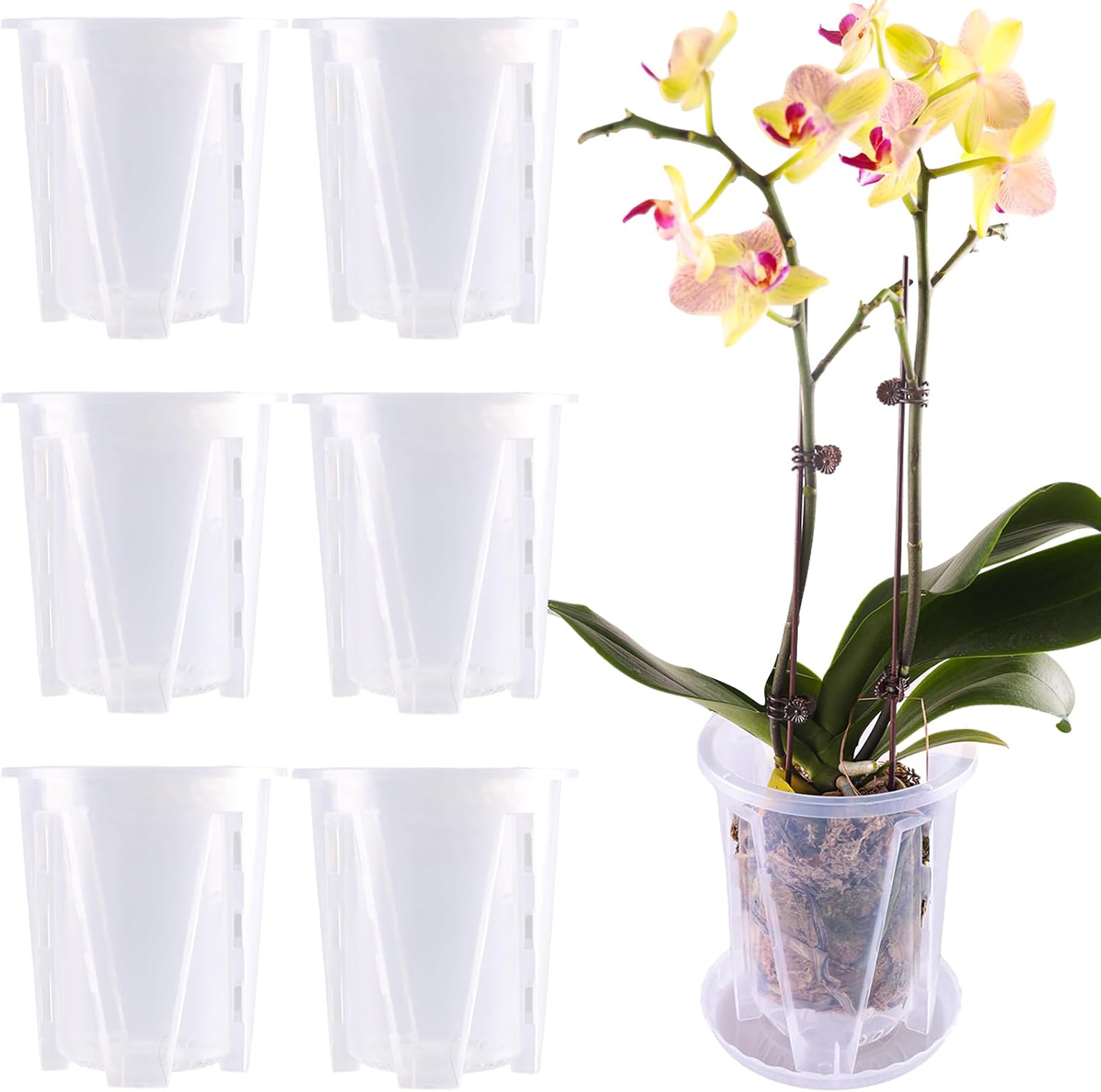 Amazon.com: Orchid Pot 6 Pack Clear Nursery Pots with Drainage 4 Inch ...