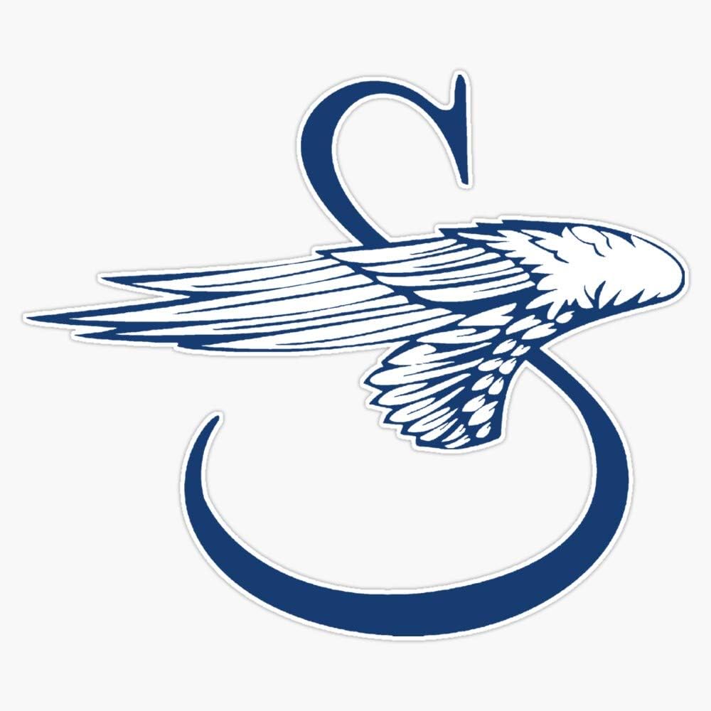 Amazon.com - Speed Racer - Meteoro Bumper Sticker Window Vinyl Decal 5"