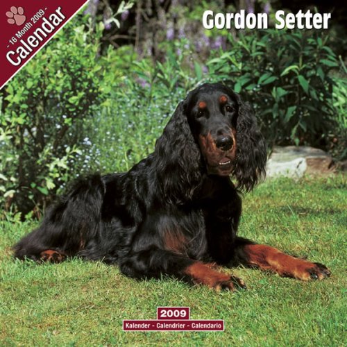 2009 Gordon Setter Wall Calendar: Avonside Publishing: 9781846626678 ...