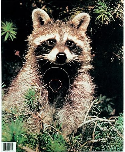 Martin Archery Game Targets - Raccoon, Targets - Amazon Canada