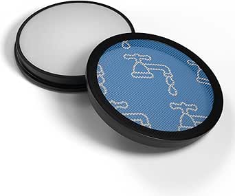 Edgerr Replacement Pre Motor Filter-911685-01 Designed to Fit Dyson ...