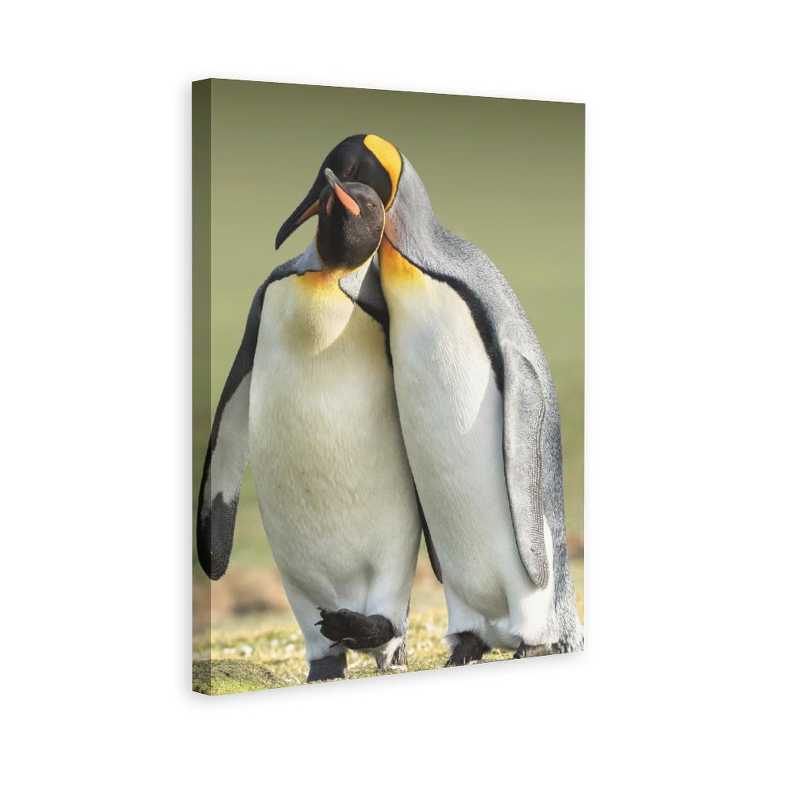 Two Penguins In Love
