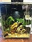 Amazon.com : Fluval Chi II Aquarium Set, 5 gal,White, 10505 : Pet Supplies