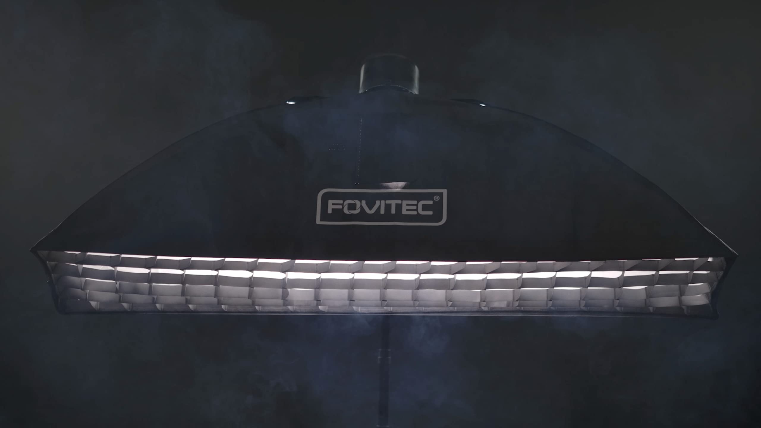 Fovitec 14 x 62 inches/35 x 150 Centimeters Honeycomb Grid Softbox with ...