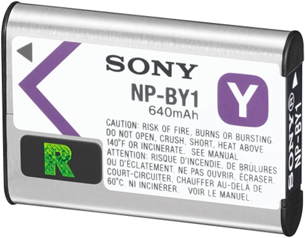 Amazon.com : Sony NP-BX1/M8 Lithium-Ion X Type Battery (Silver ...