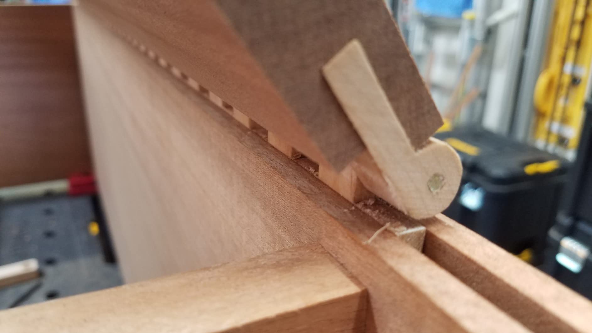 $34/mo - Finance DEWALT Dado Blade Set, 8-Inch, 24-Tooth (DW7670) | Buy ...