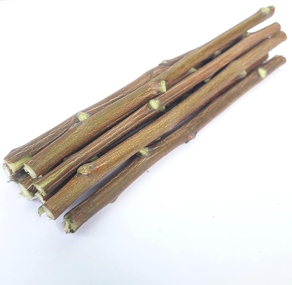 Amazon.com : Pack of 40 Pieces Ayurvedic Natural Organic Neem Datun ...