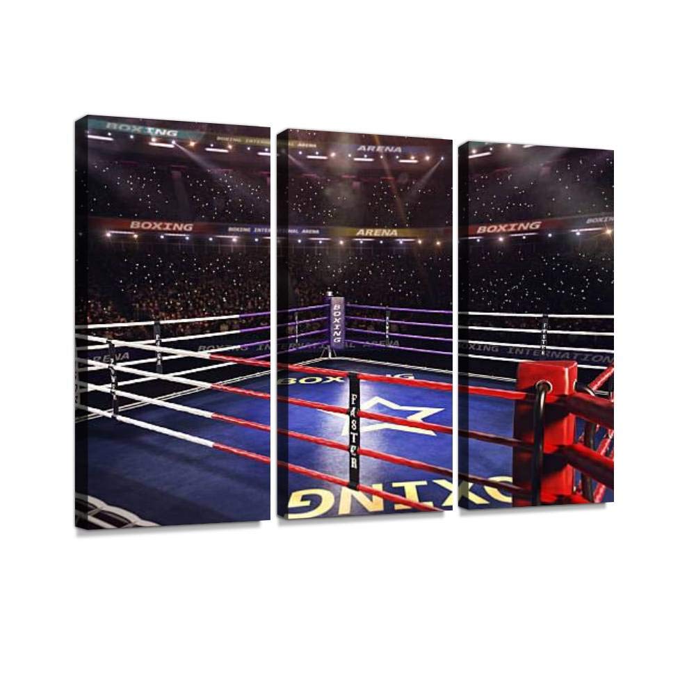 Boxing Ring Art