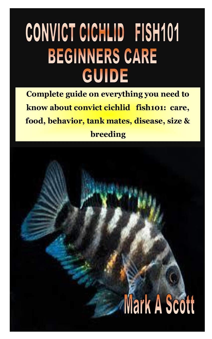Convict Cichlid Fish101 Beginners Care Guide Complete Guide On ...