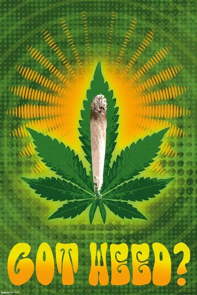 Pyramid America Got Weed Marijuana Leaf Joint Psychedelic Trippy ...