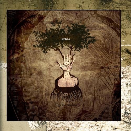 Amazon.com: Chimera: CDs & Vinyl