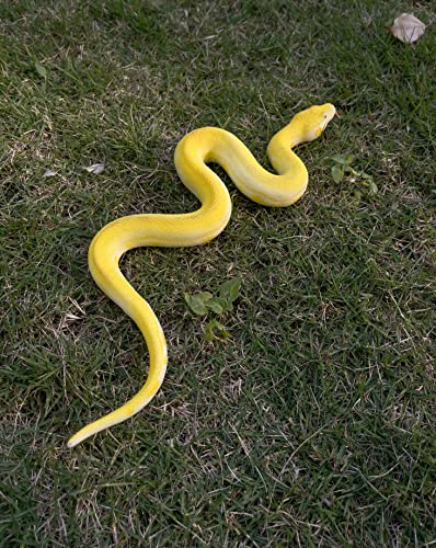 Snapklik.com : HOHAJIU Fake Snake Toy Realistic Rubber Snake Toy 14.5 ...
