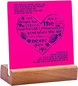 Amazon.com: Never Give Up Desk Décor,Pink Motivational Sign Desk ...