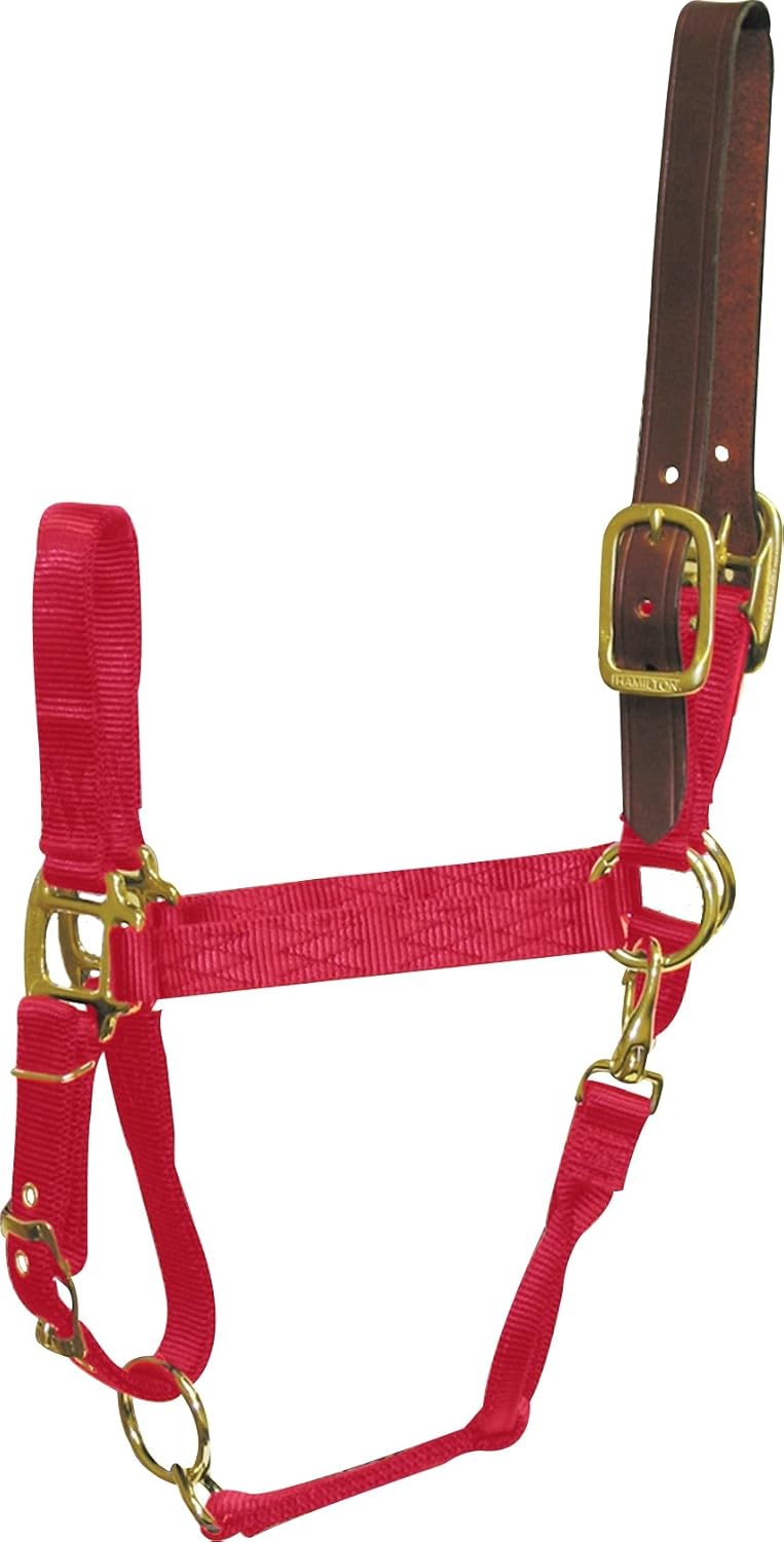 Amazon.com: Hamilton 1 Adjustable Leather Head Poll Halter with Brass ...